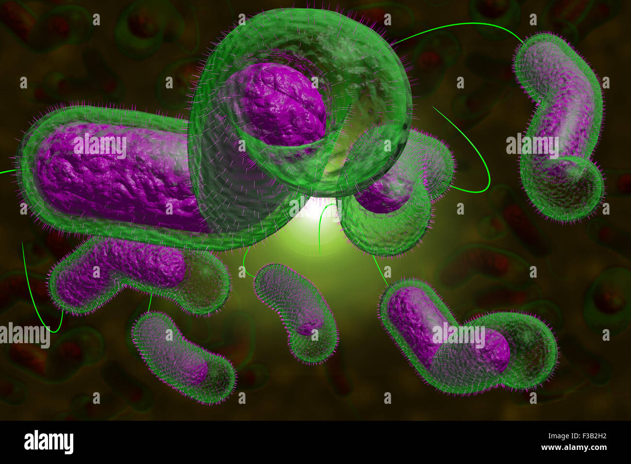 Close up 3D illustration of microscopic Cholera bacteria infection ...