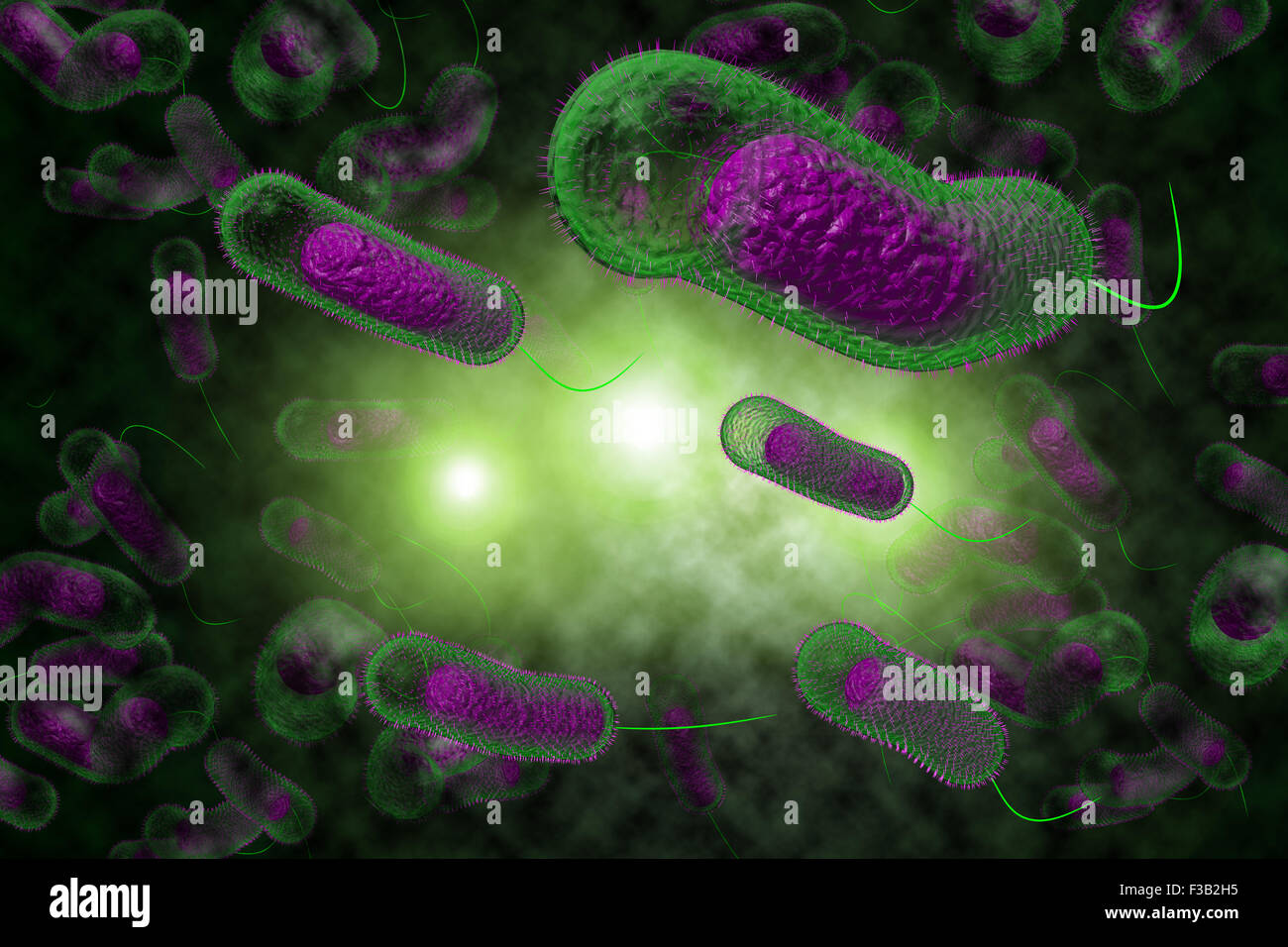 Cholera bacterium vibrio cholerae hi-res stock photography and images ...
