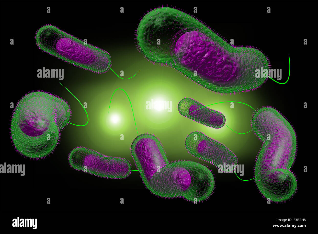 Close up 3D illustration of microscopic Cholera bacteria infection ...