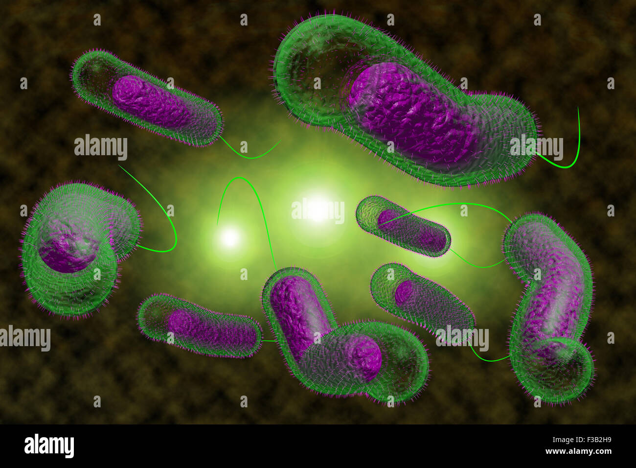 Close up 3D illustration of microscopic Cholera bacteria infection ...
