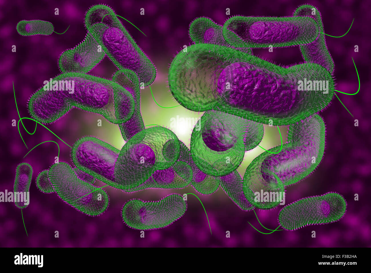 Close up 3D illustration of microscopic Cholera bacteria infection ...