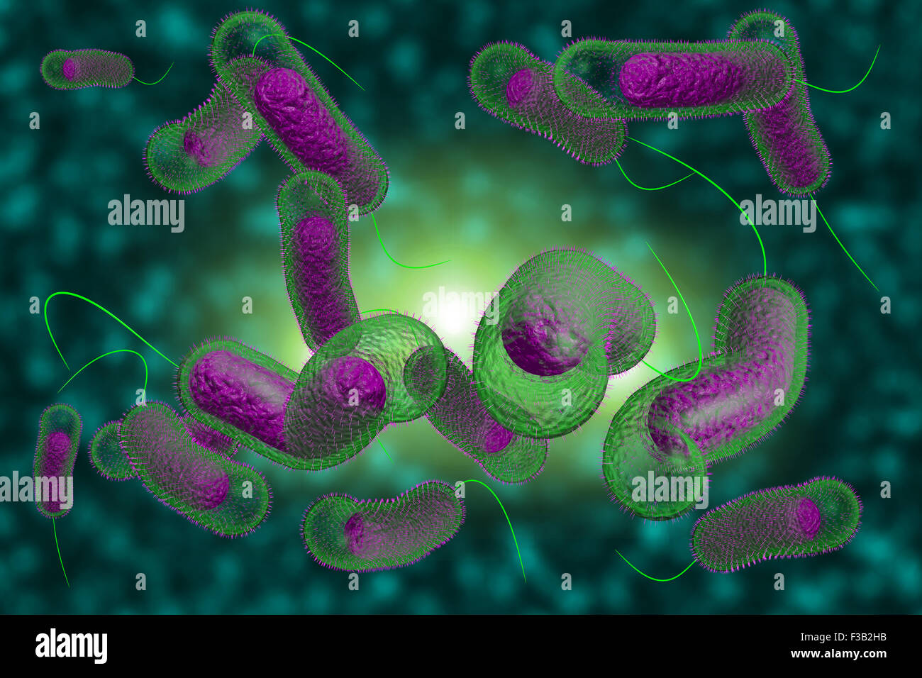 Close up 3D illustration of microscopic Cholera bacteria infection ...
