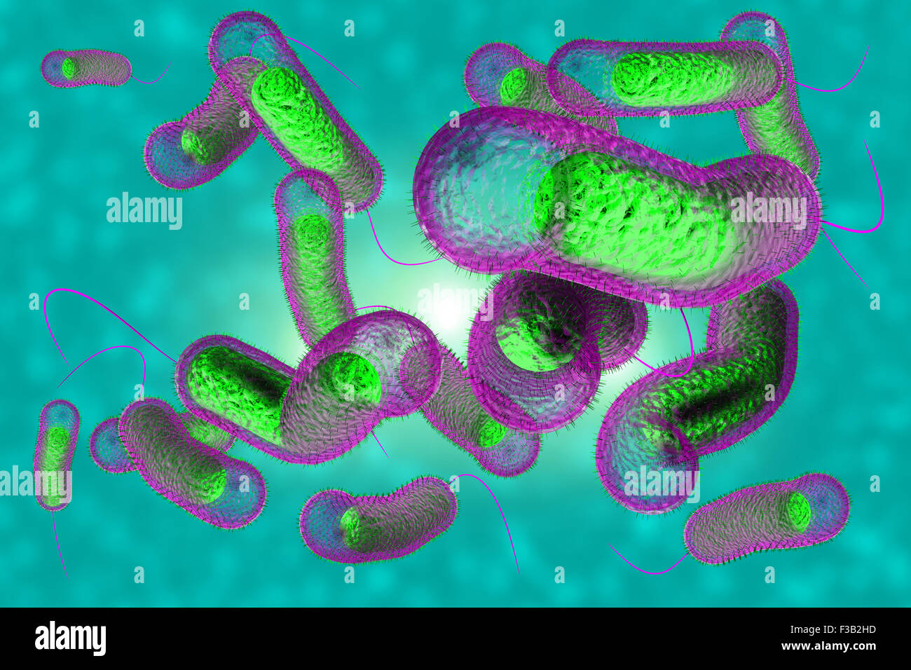 Vibrio cholerae bacterium hi-res stock photography and images - Alamy