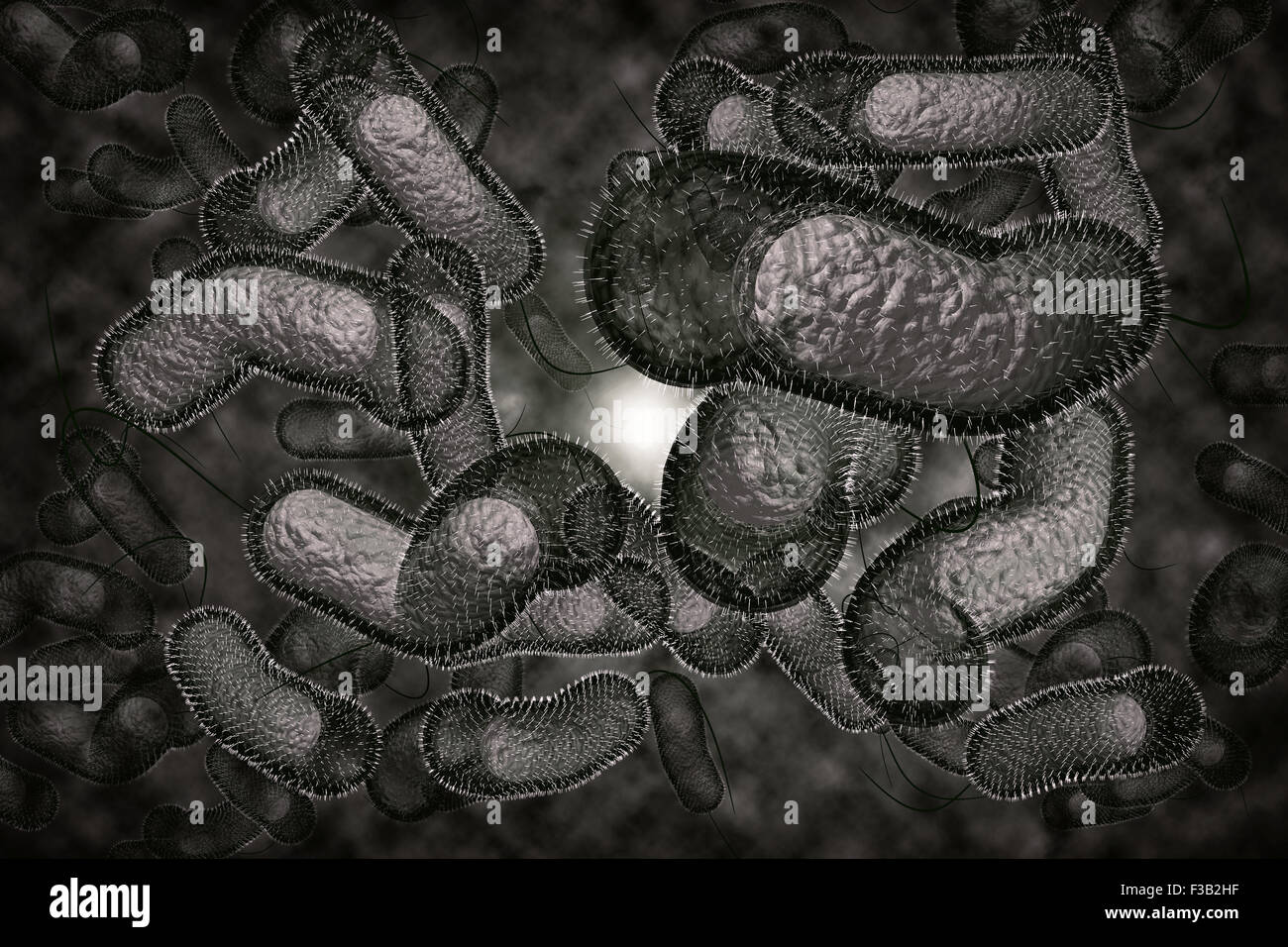 Close up 3D illustration of microscopic Cholera bacteria infection ...