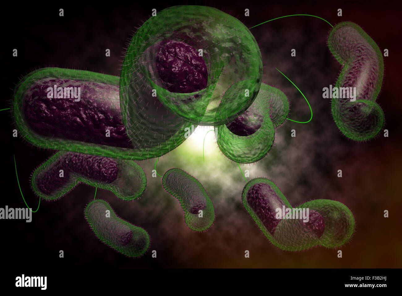 Close up 3D illustration of microscopic Cholera bacteria infection ...