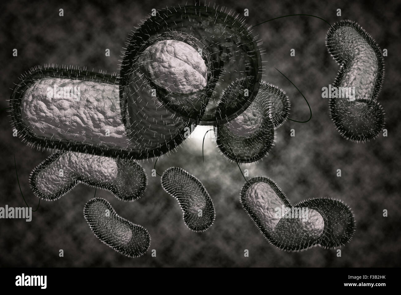 Close up 3D illustration of microscopic Cholera bacteria infection ...