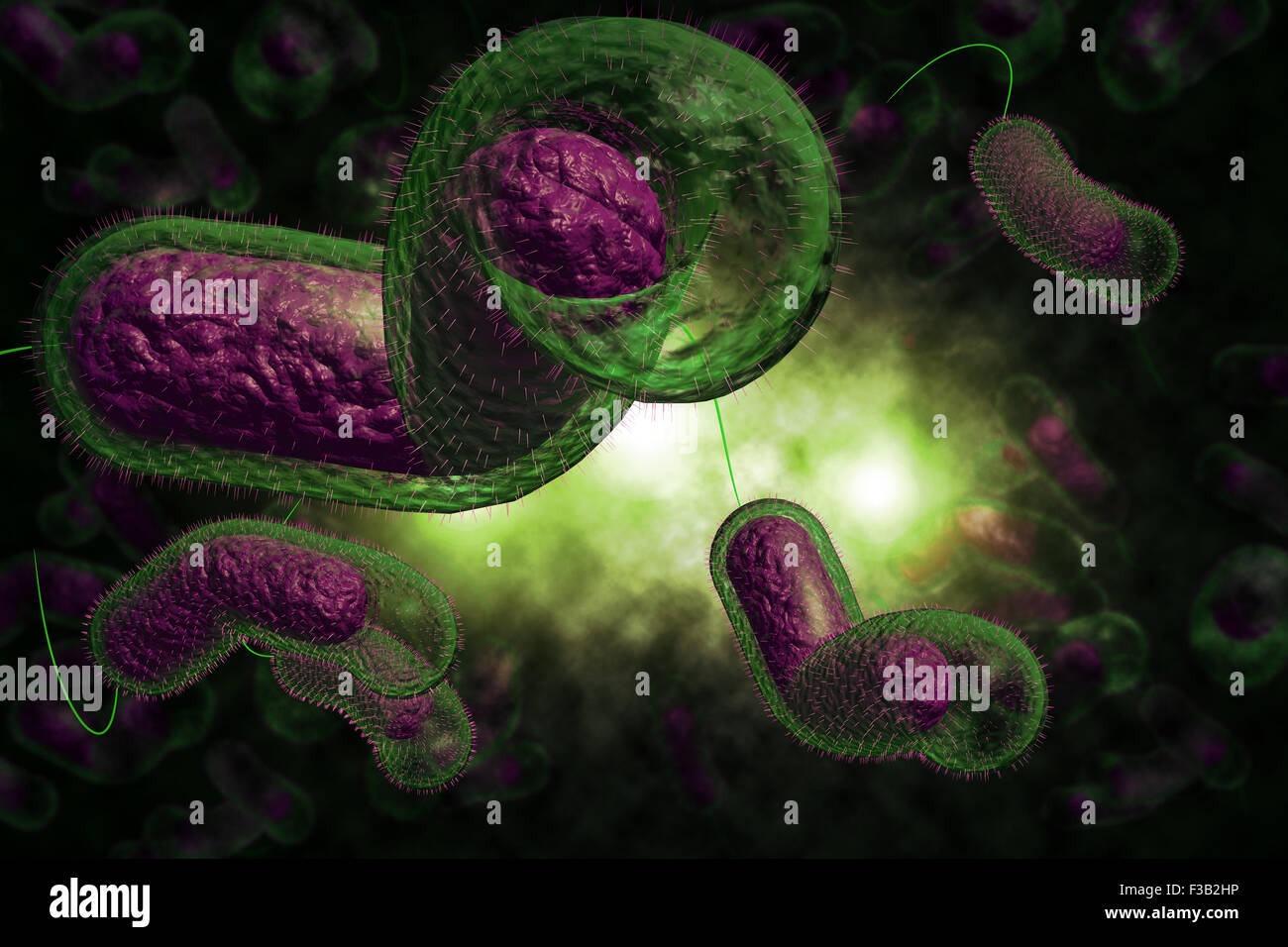 Close up 3D illustration of microscopic Cholera bacteria infection ...