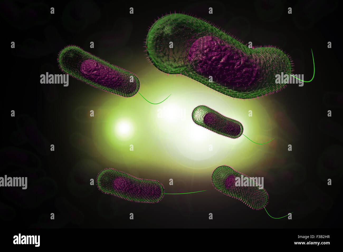 Close up 3D illustration of microscopic Cholera bacteria infection ...