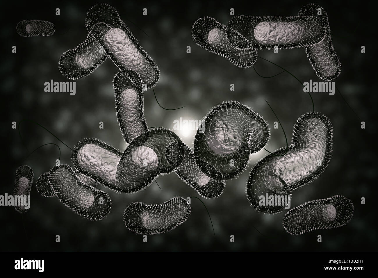 Close up 3D illustration of microscopic Cholera bacteria infection ...