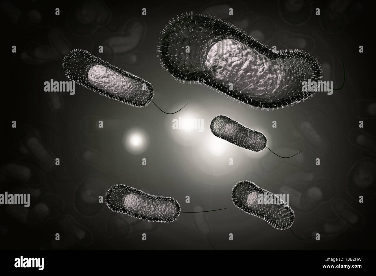 Close up 3D illustration of microscopic Cholera bacteria infection ...