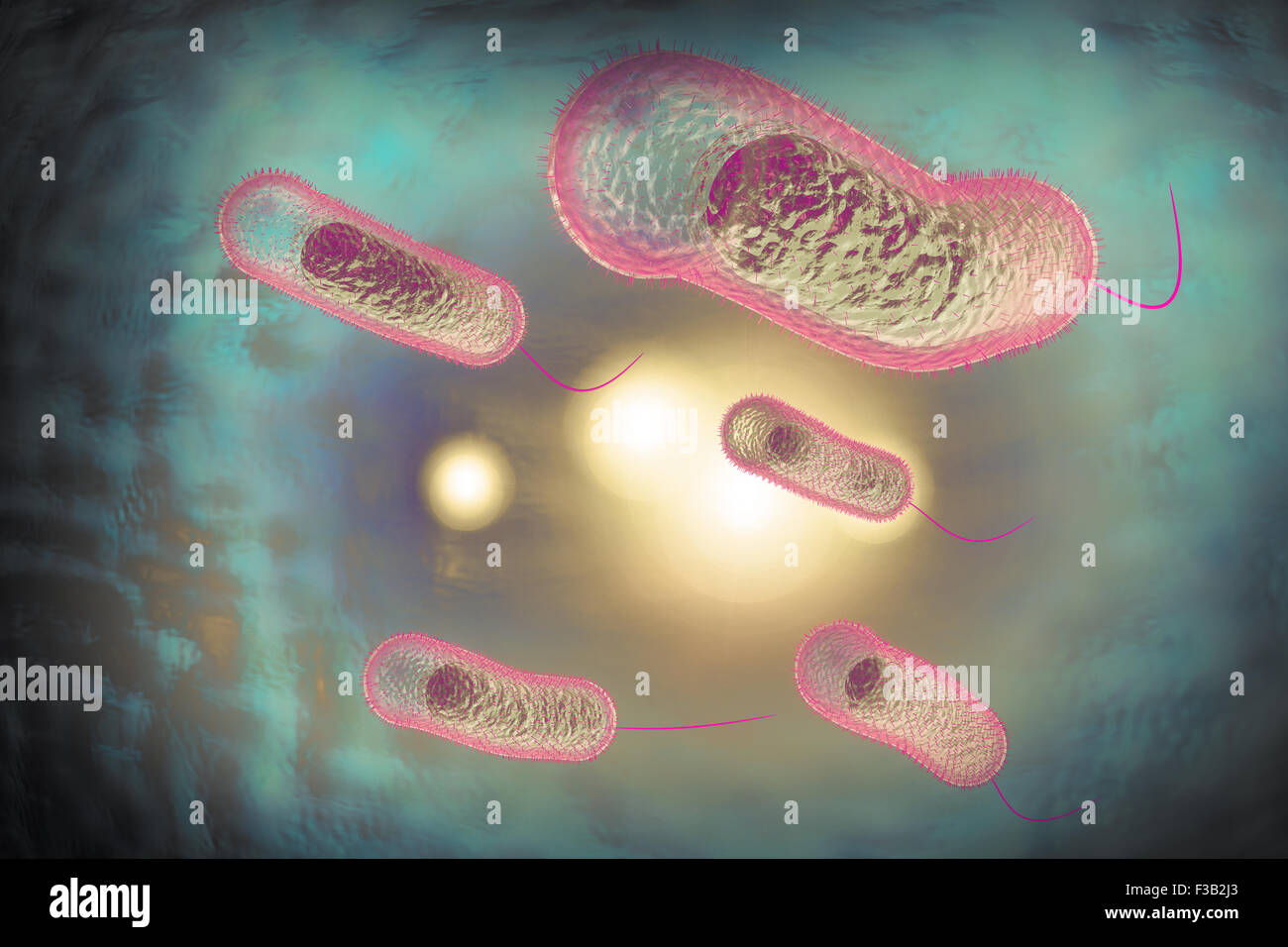 Close up 3D illustration of microscopic Cholera bacteria infection ...