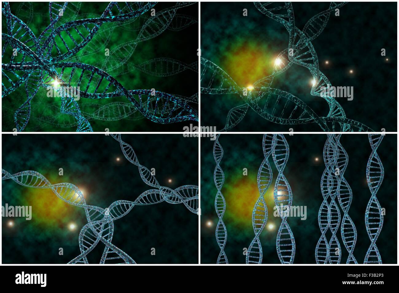 3D DNA strand collage with vibrant colors for genetics background Stock ...