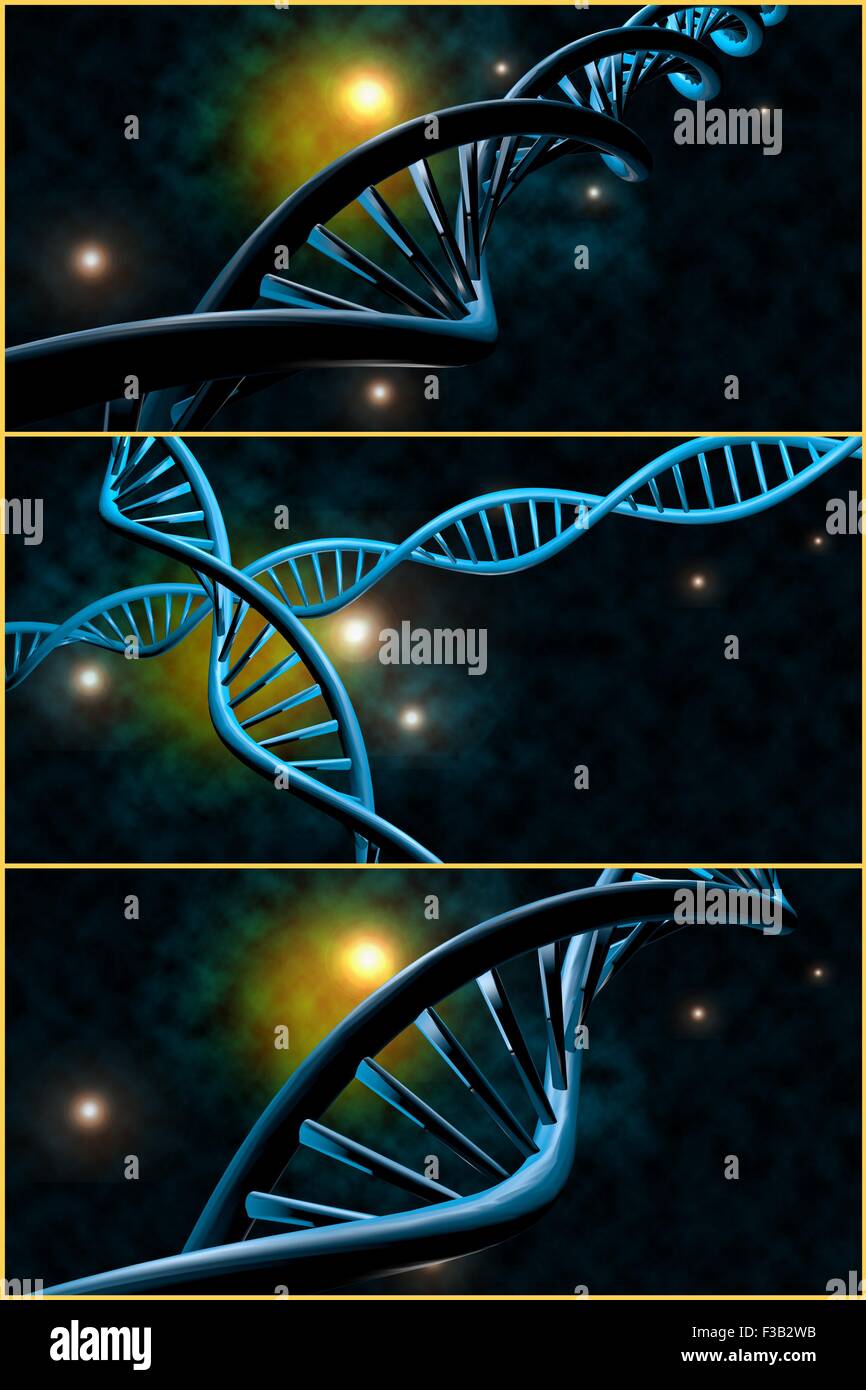 3D DNA strand collage with vibrant colors for genetics background Stock ...