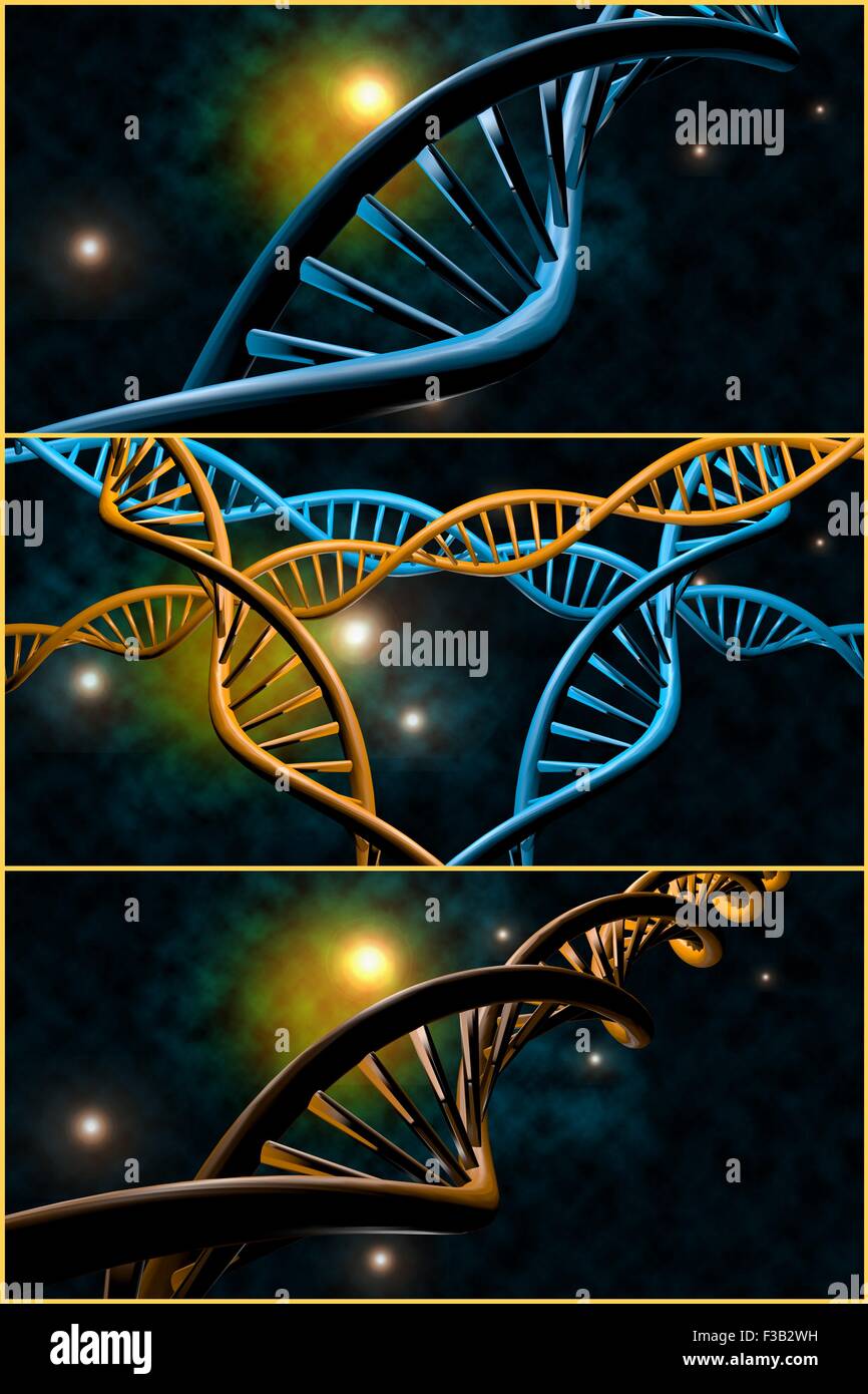 3D DNA strand collage with vibrant colors for genetics background Stock ...