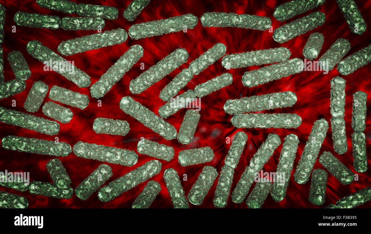 Escherichia coli also known as Ecoli bacteria in health science ...
