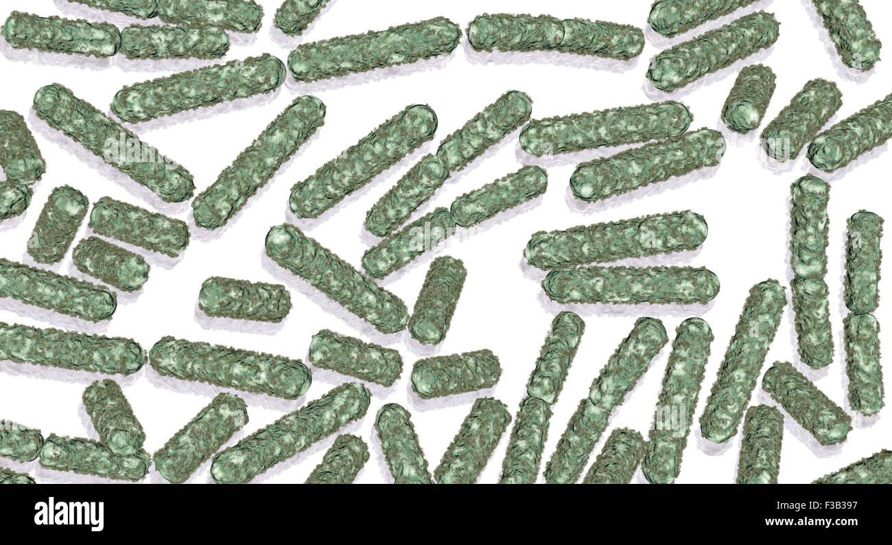 Escherichia coli also known as Ecoli bacteria in health science ...