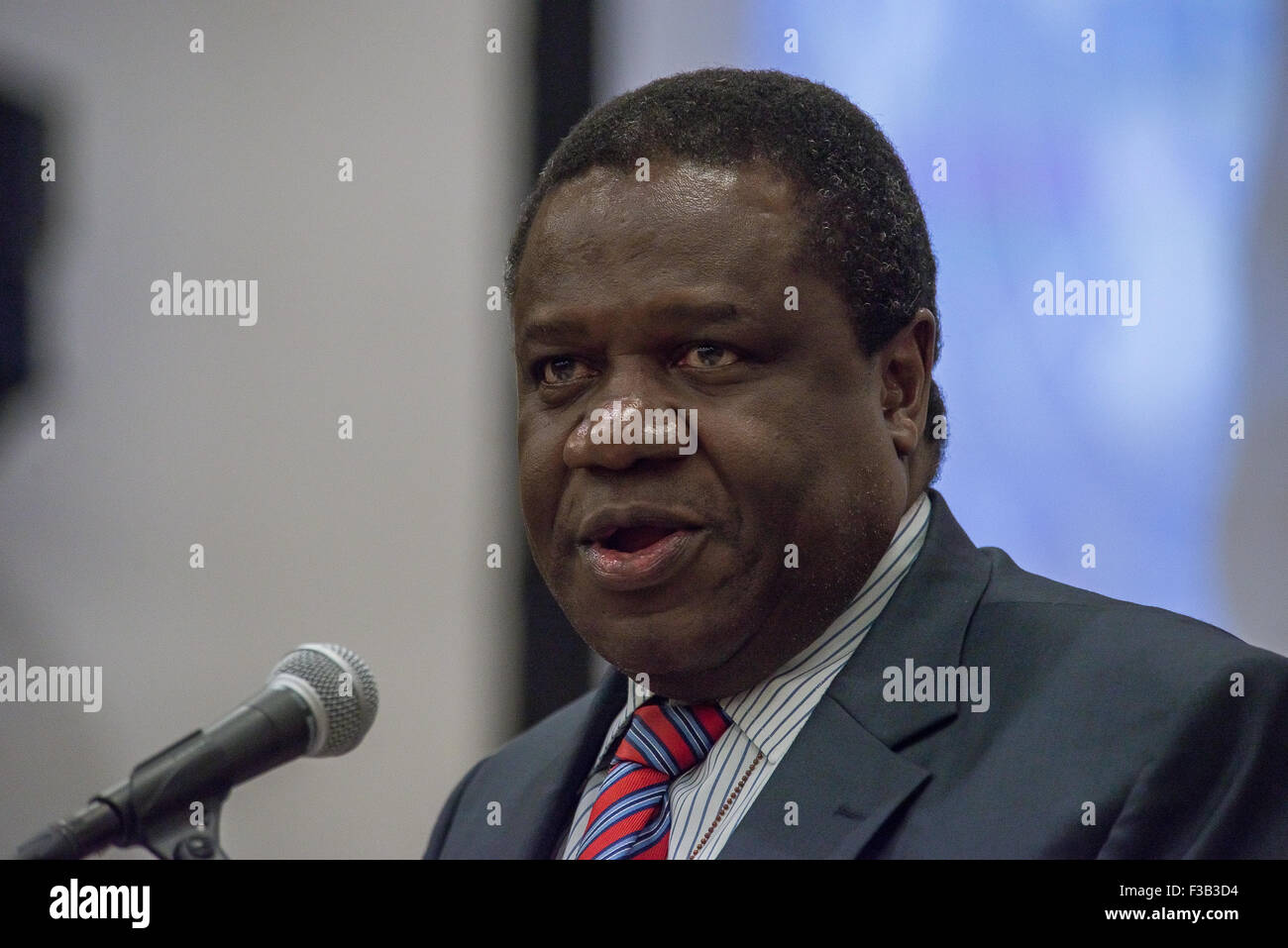 New York, United States. 02nd Oct, 2015. South African Ambassador to ...