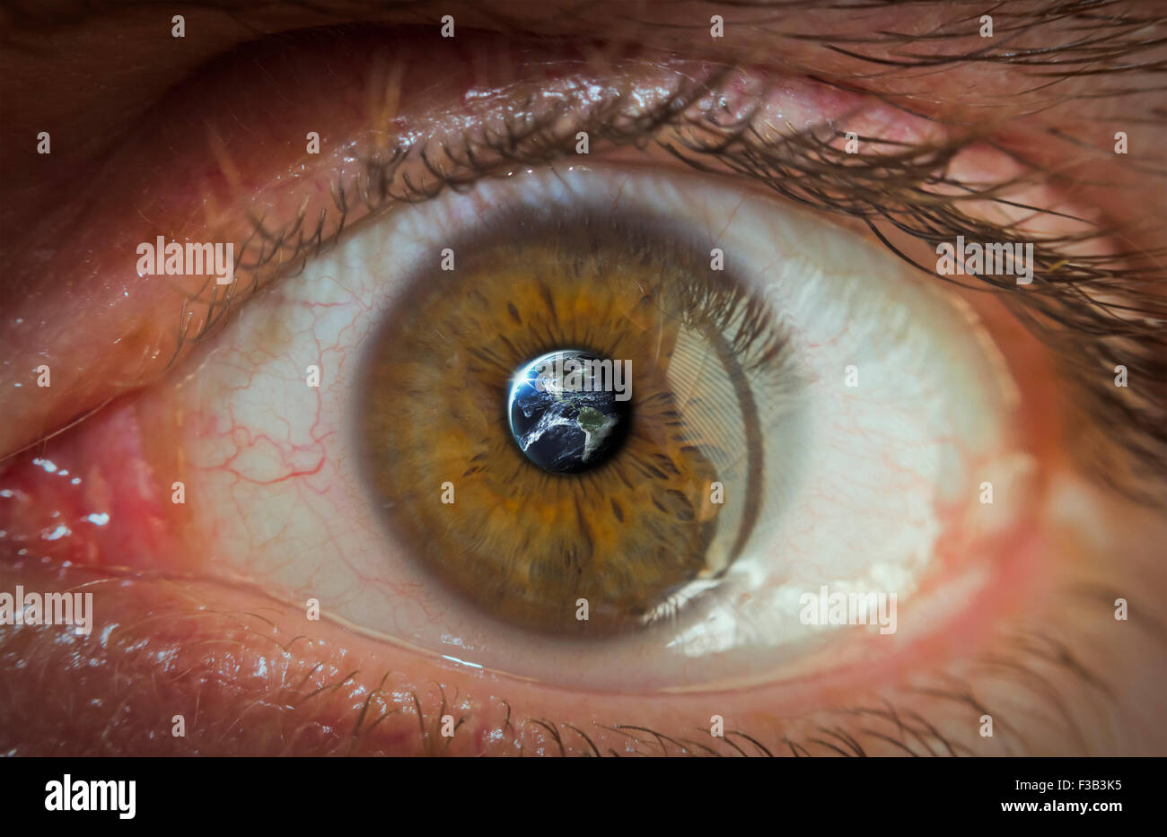 Ecosystem map of south america hi-res stock photography and images - Alamy