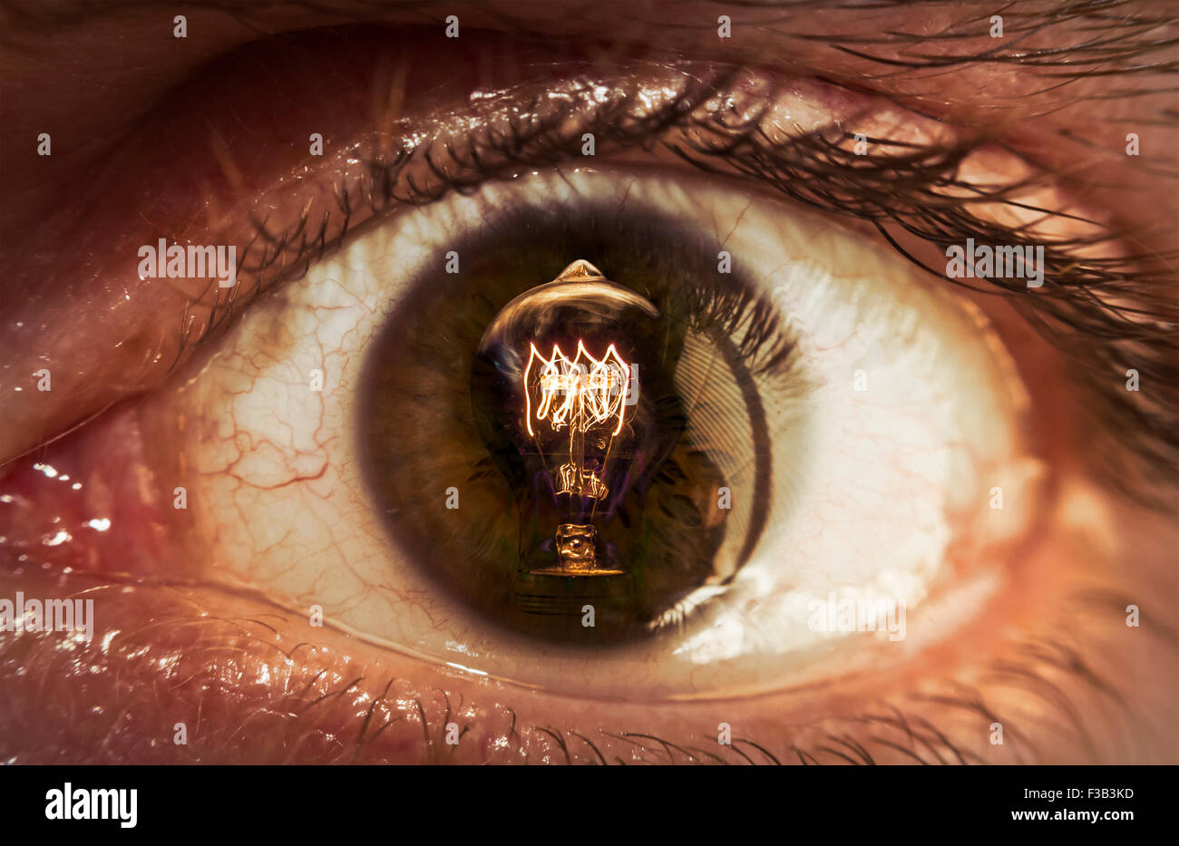 Lightbulb reflection hi-res stock photography and images - Alamy