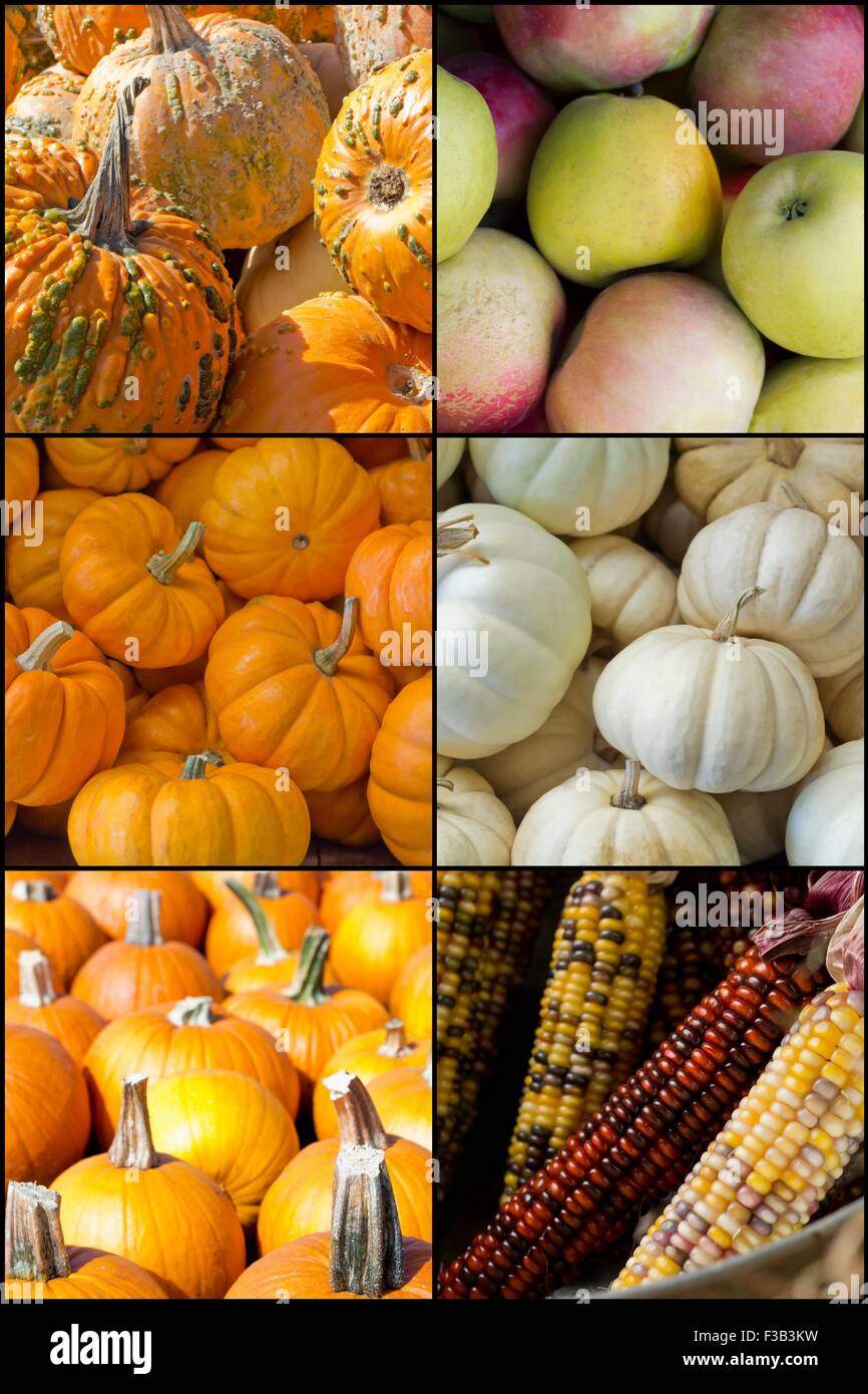 Seasonal fruits and vegetables of Autumn for holiday collage image ...