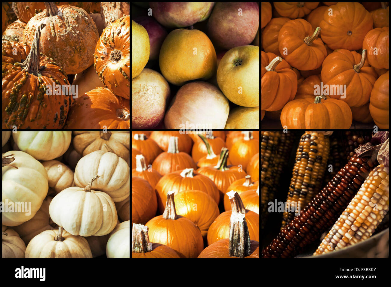Seasonal fruits and vegetables of Autumn for holiday collage image ...