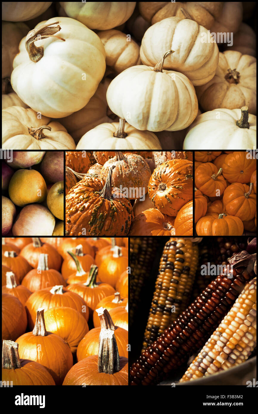 Seasonal fruits and vegetables of Autumn for holiday collage image ...