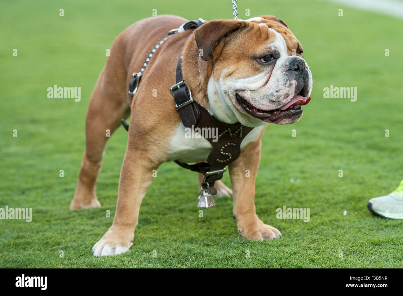 College Station, TX, USA. 3rd Oct, 2015. Mississippi State Bulldogs ...