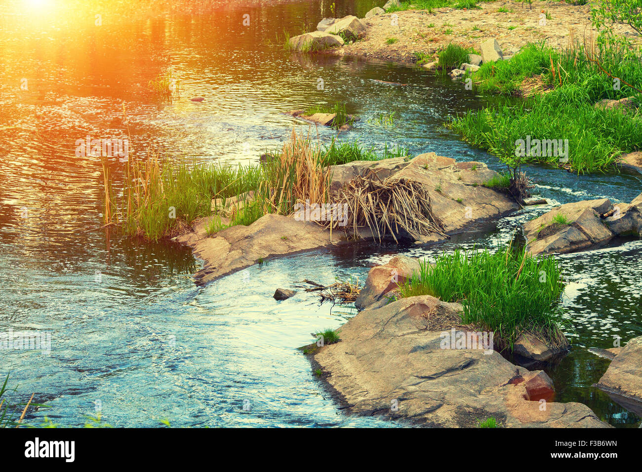 River bank with rocks Stock Photo - Alamy