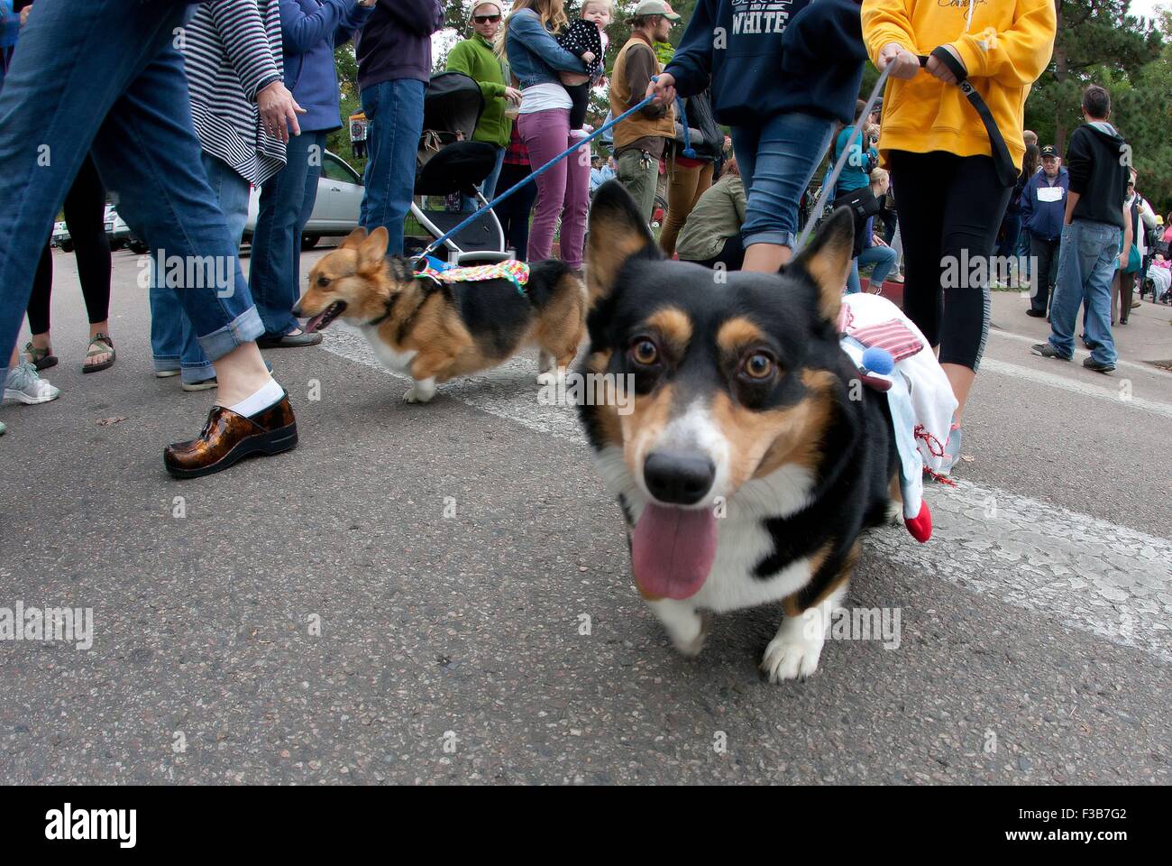 Fort Collins, Colorado, USA. 3rd Oct, 2015. The 1st. Annual TOUR DE ...