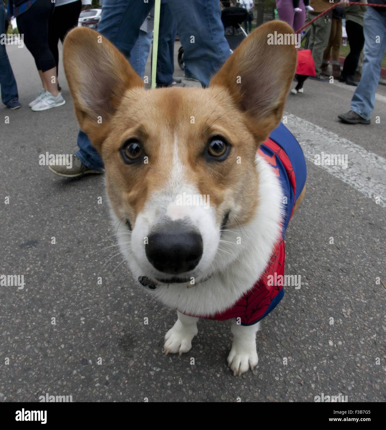 Fort Collins, Colorado, USA. 3rd Oct, 2015. The 1st. Annual TOUR DE ...