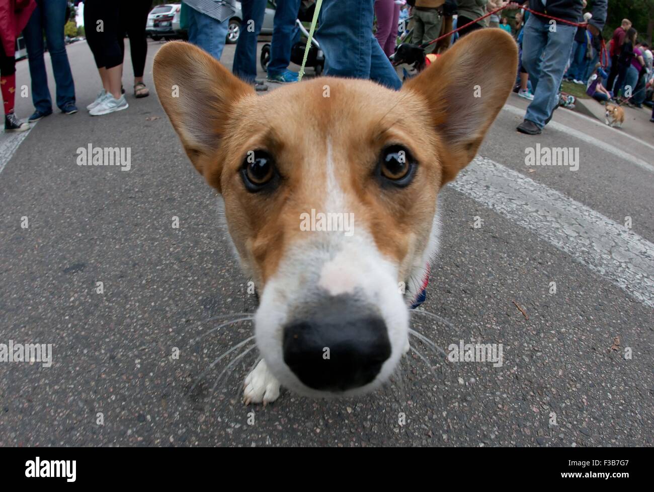 Fort Collins, Colorado, USA. 3rd Oct, 2015. The 1st. Annual TOUR DE ...