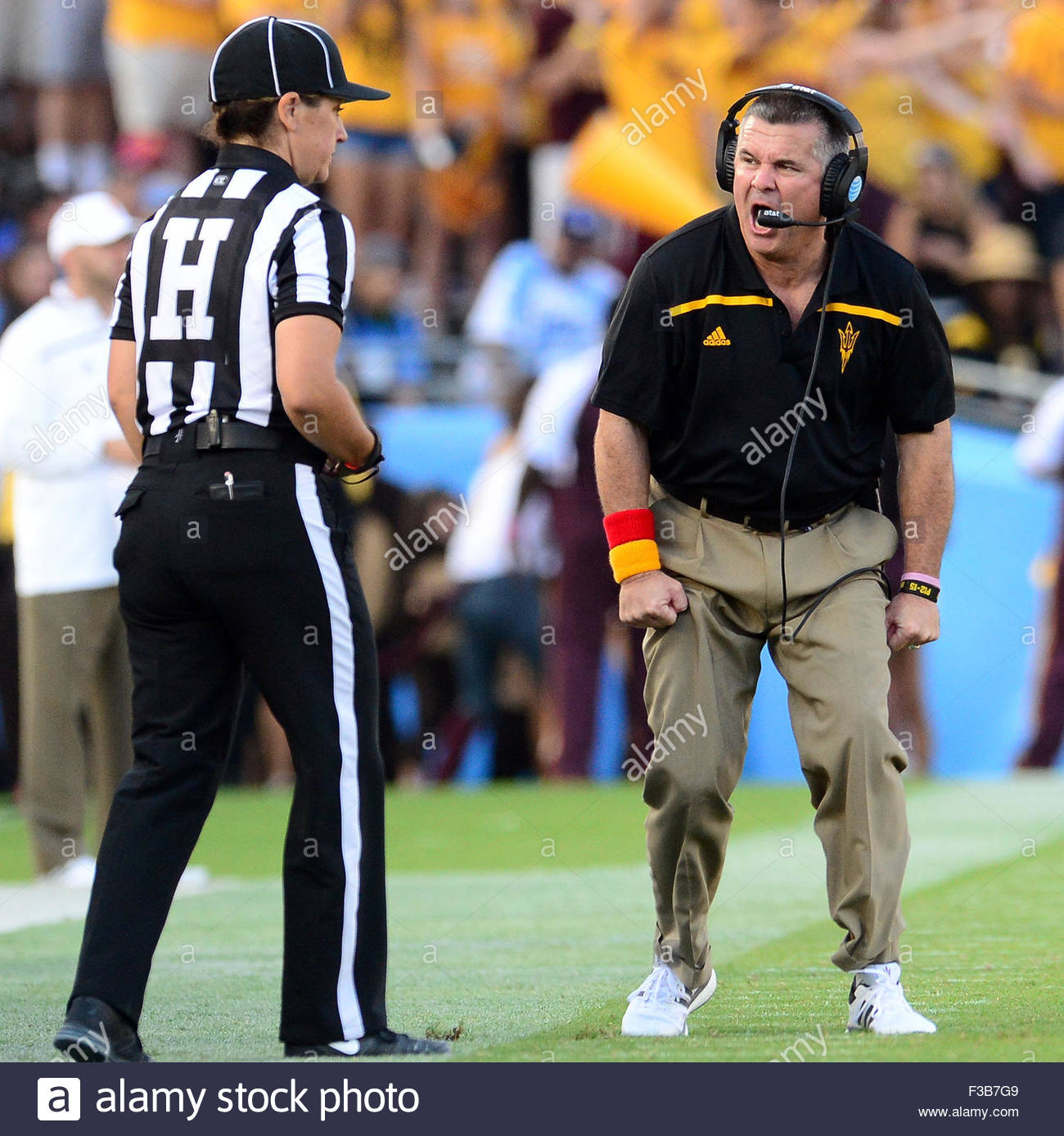 Catherine Conti High Resolution Stock Photography and Images - Alamy