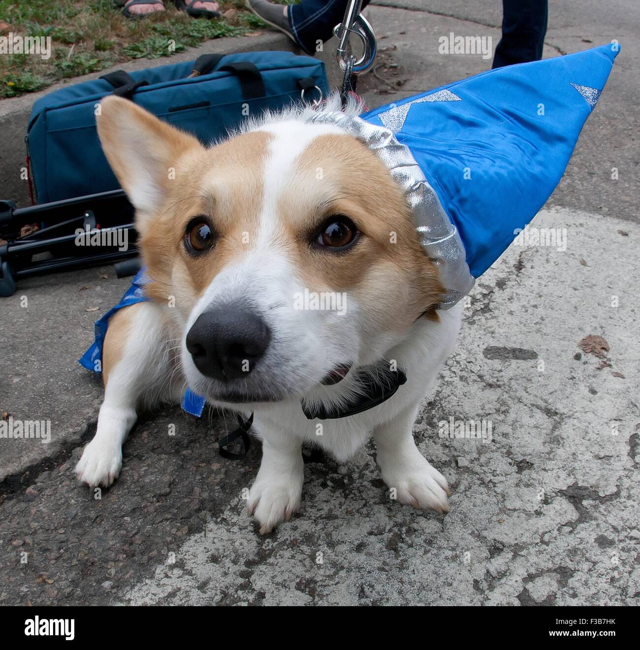 Number 1003 hi-res stock photography and images - Alamy