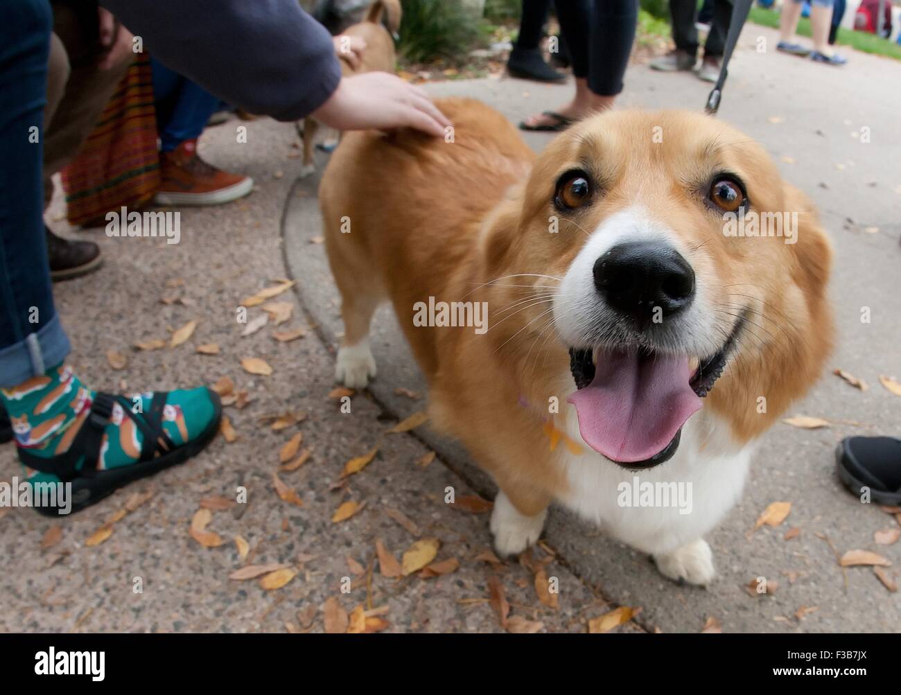 Fort Collins, Colorado, USA. 3rd Oct, 2015. The 1st. Annual TOUR DE ...