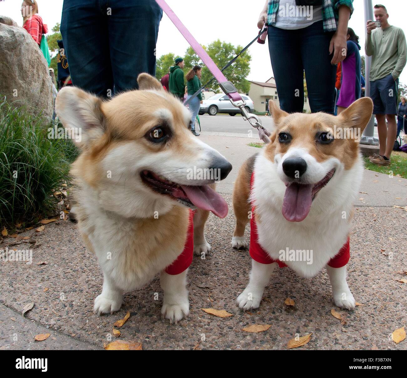 Fort Collins, Colorado, USA. 3rd Oct, 2015. The 1st. Annual TOUR DE ...