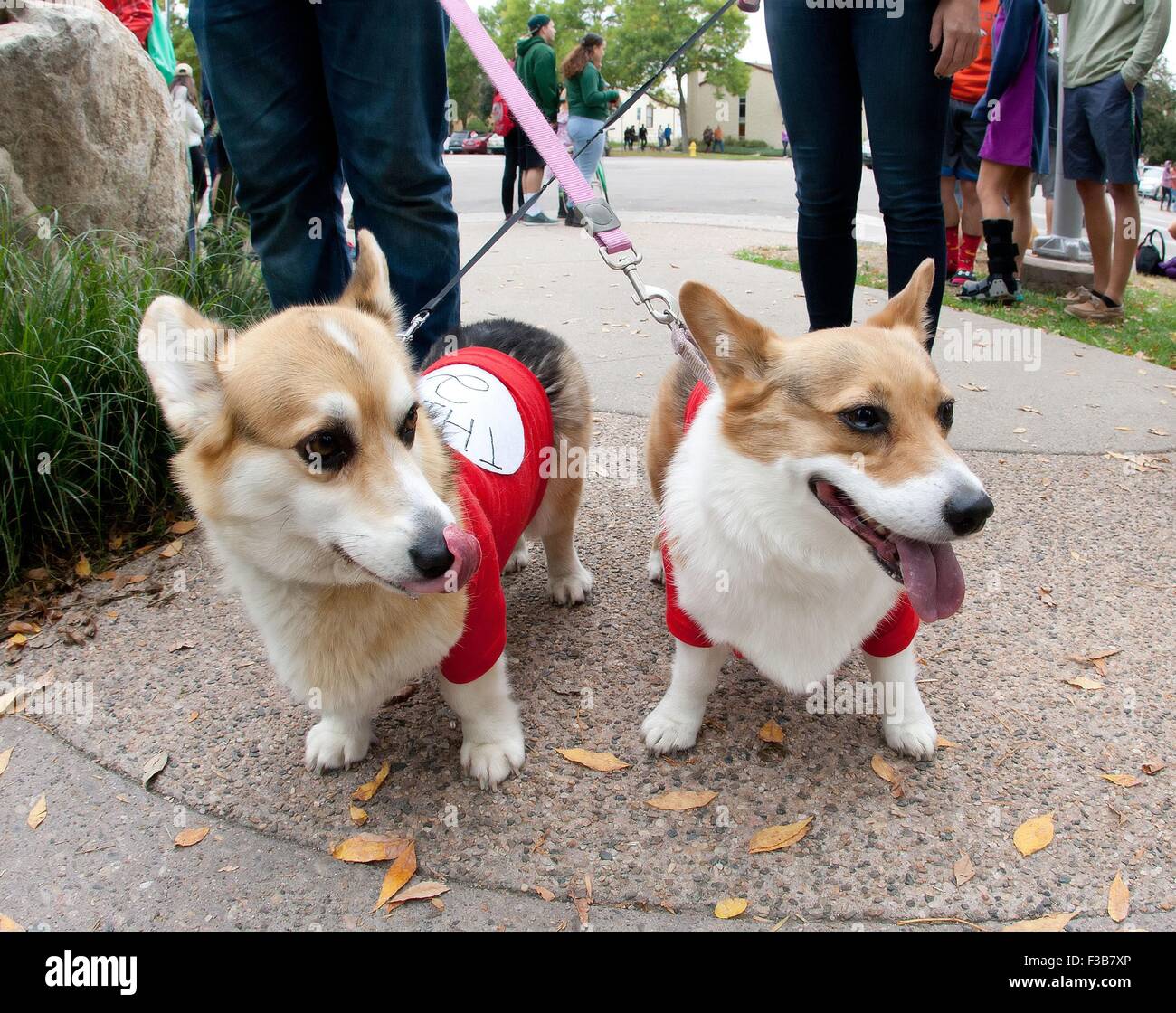 Number 1003 hi-res stock photography and images - Alamy