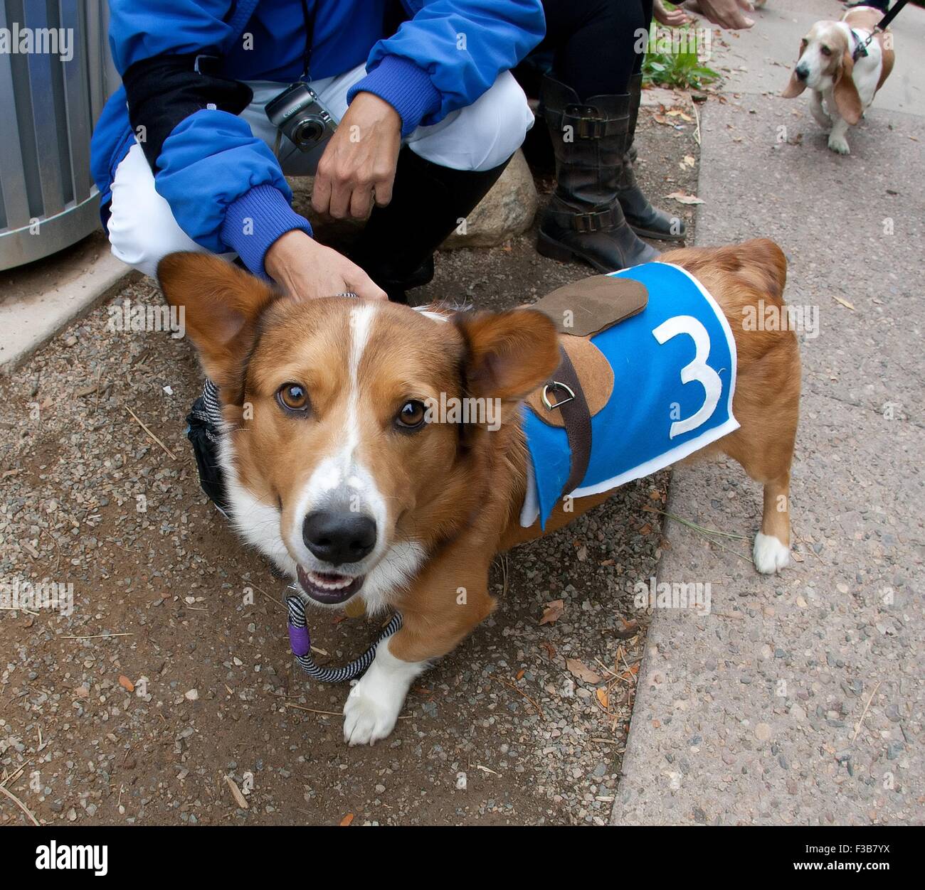 Number 1003 hi-res stock photography and images - Alamy