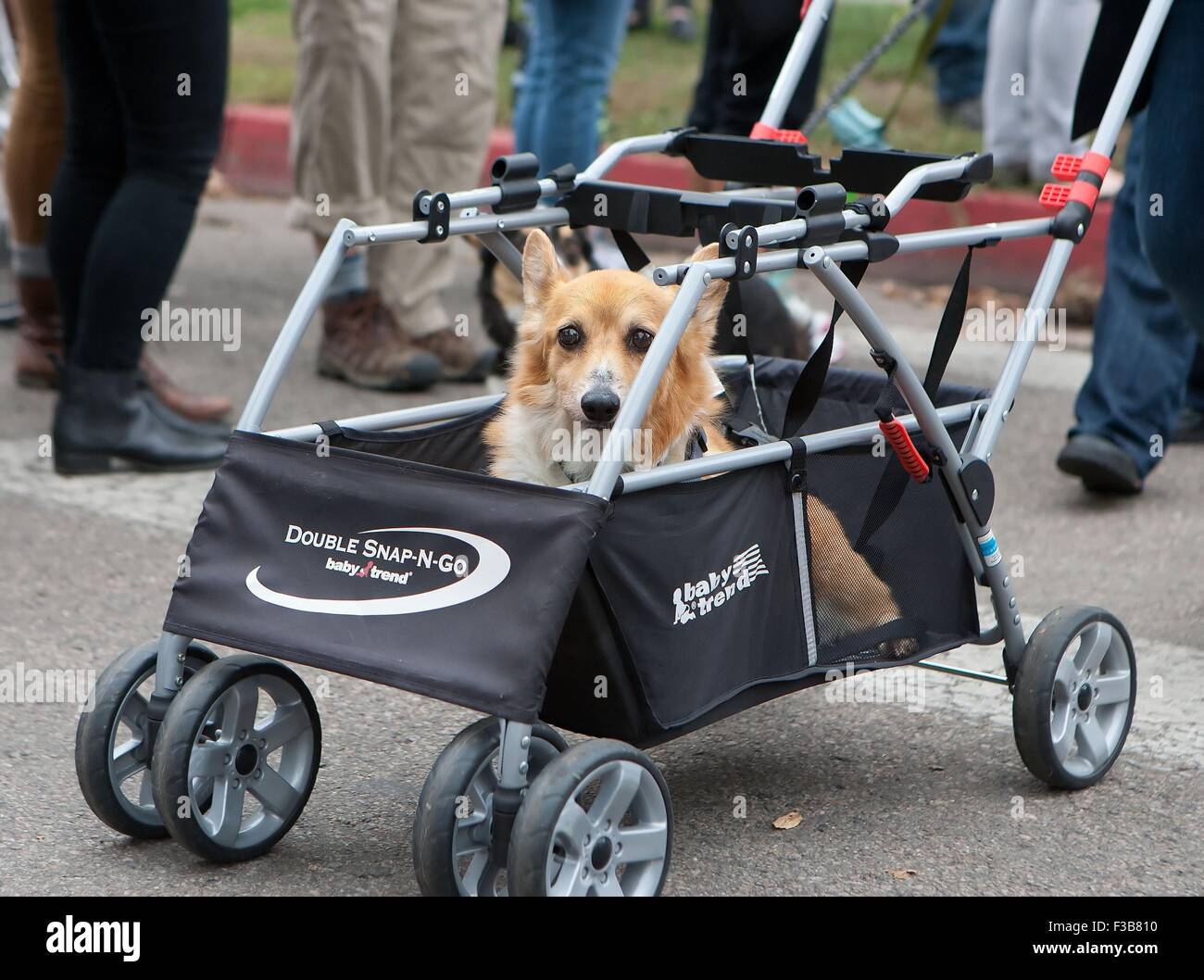 Fort Collins, Colorado, USA. 3rd Oct, 2015. The 1st. Annual TOUR DE ...