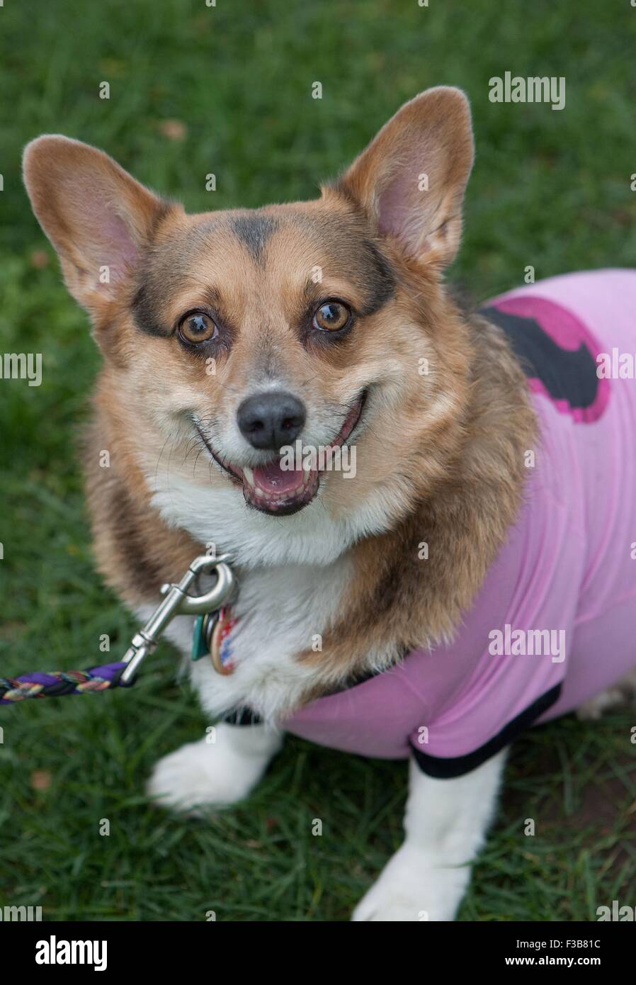 Number 1003 hi-res stock photography and images - Alamy