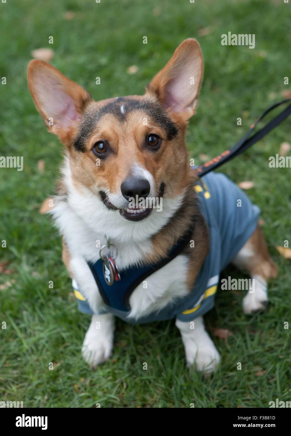 Number 1003 hi-res stock photography and images - Alamy