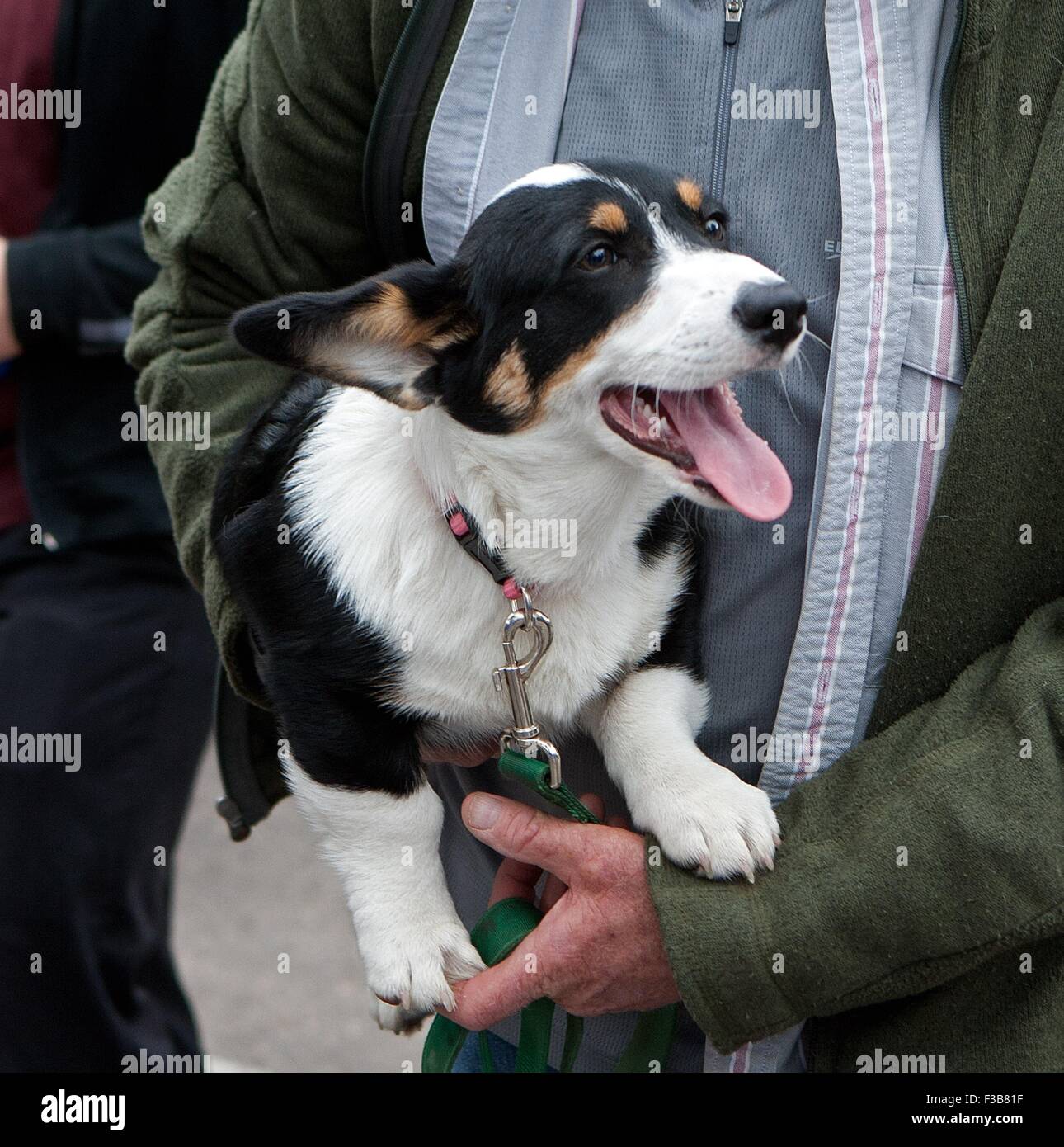 Number 1003 hi-res stock photography and images - Alamy