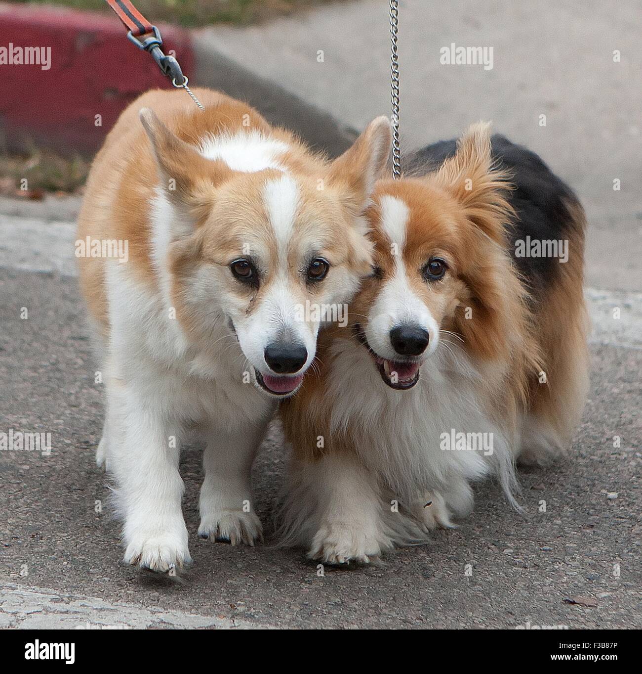 Number 1003 hi-res stock photography and images - Alamy