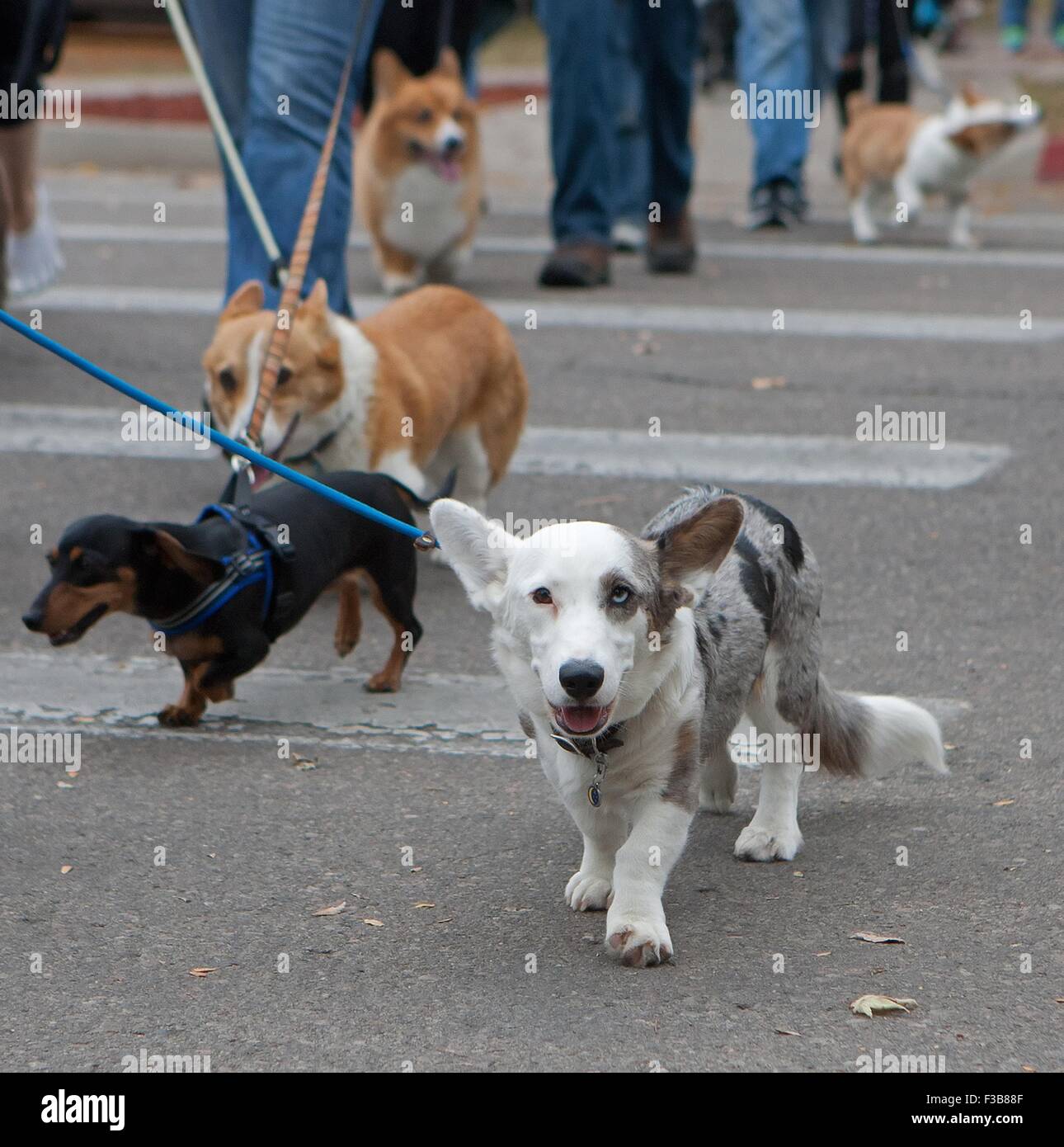 Number 1003 hi-res stock photography and images - Alamy