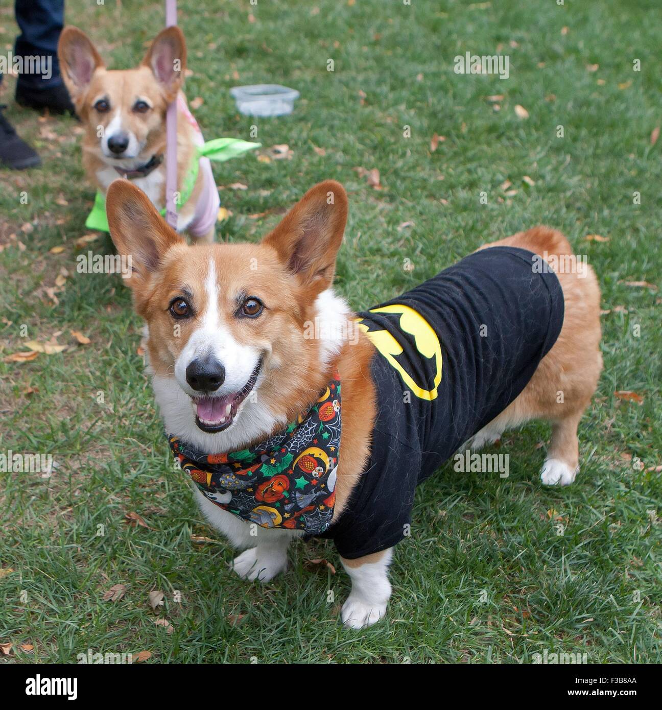 Number 1003 hi-res stock photography and images - Alamy