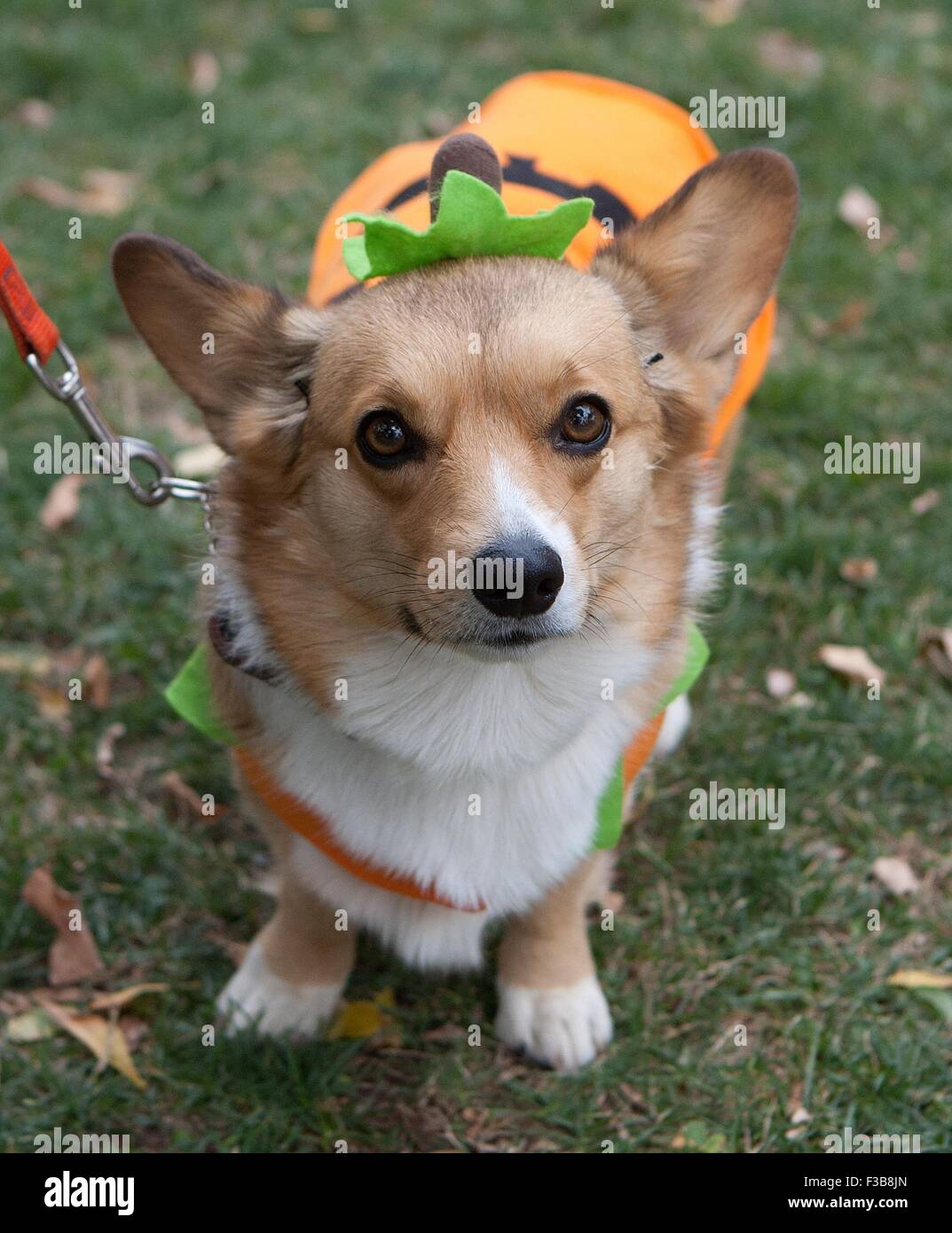 Number 1003 hi-res stock photography and images - Alamy