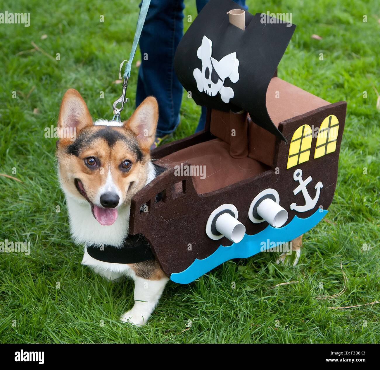 Fort Collins, Colorado, USA. 3rd Oct, 2015. The 1st. Annual TOUR DE ...