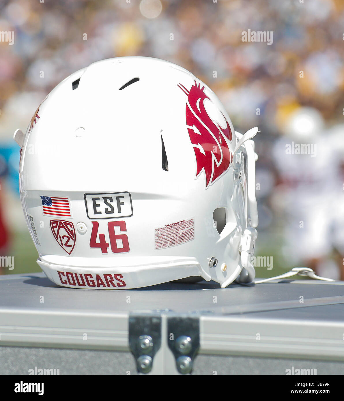 Golden bears helmet hi-res stock photography and images - Alamy