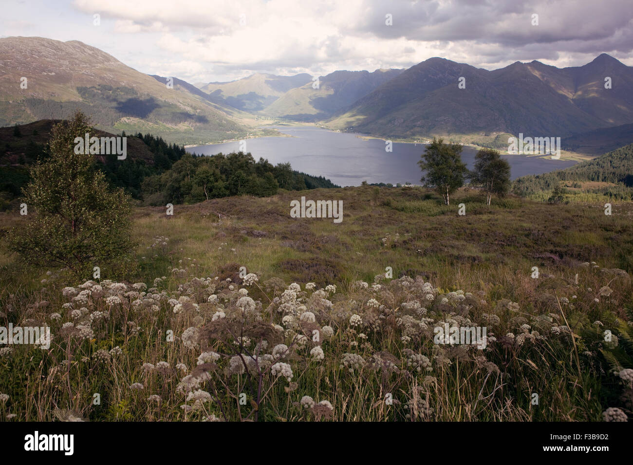 Mam ratagan hi-res stock photography and images - Alamy