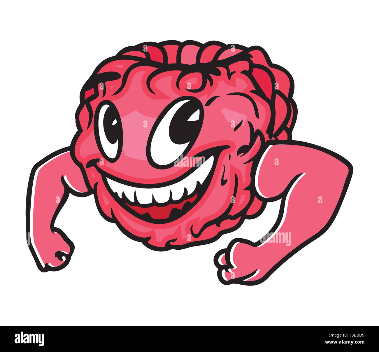 Vector illustrations of the raspberry Stock Photo - Alamy