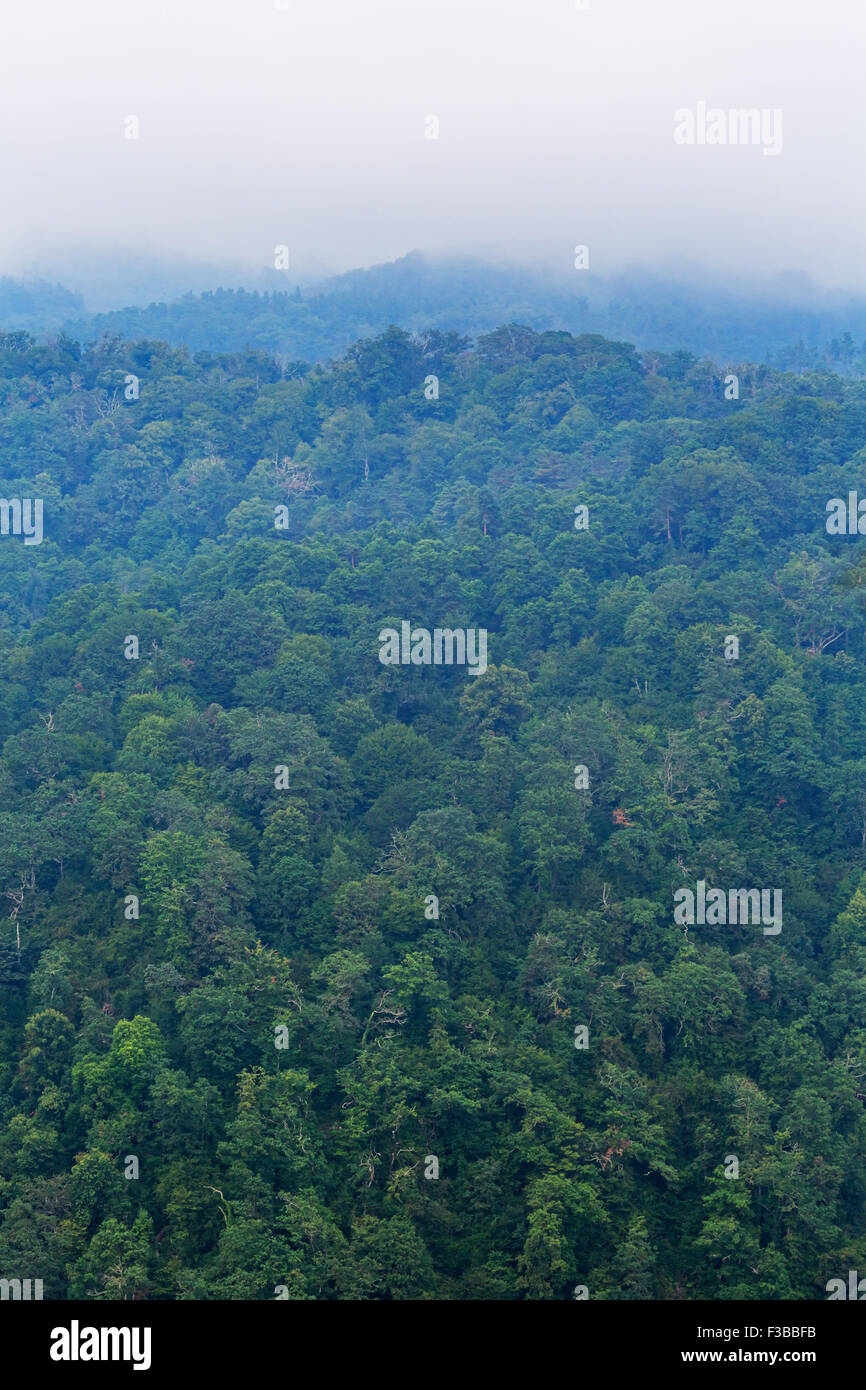 Highland view with green forests, natural background Stock Photo - Alamy